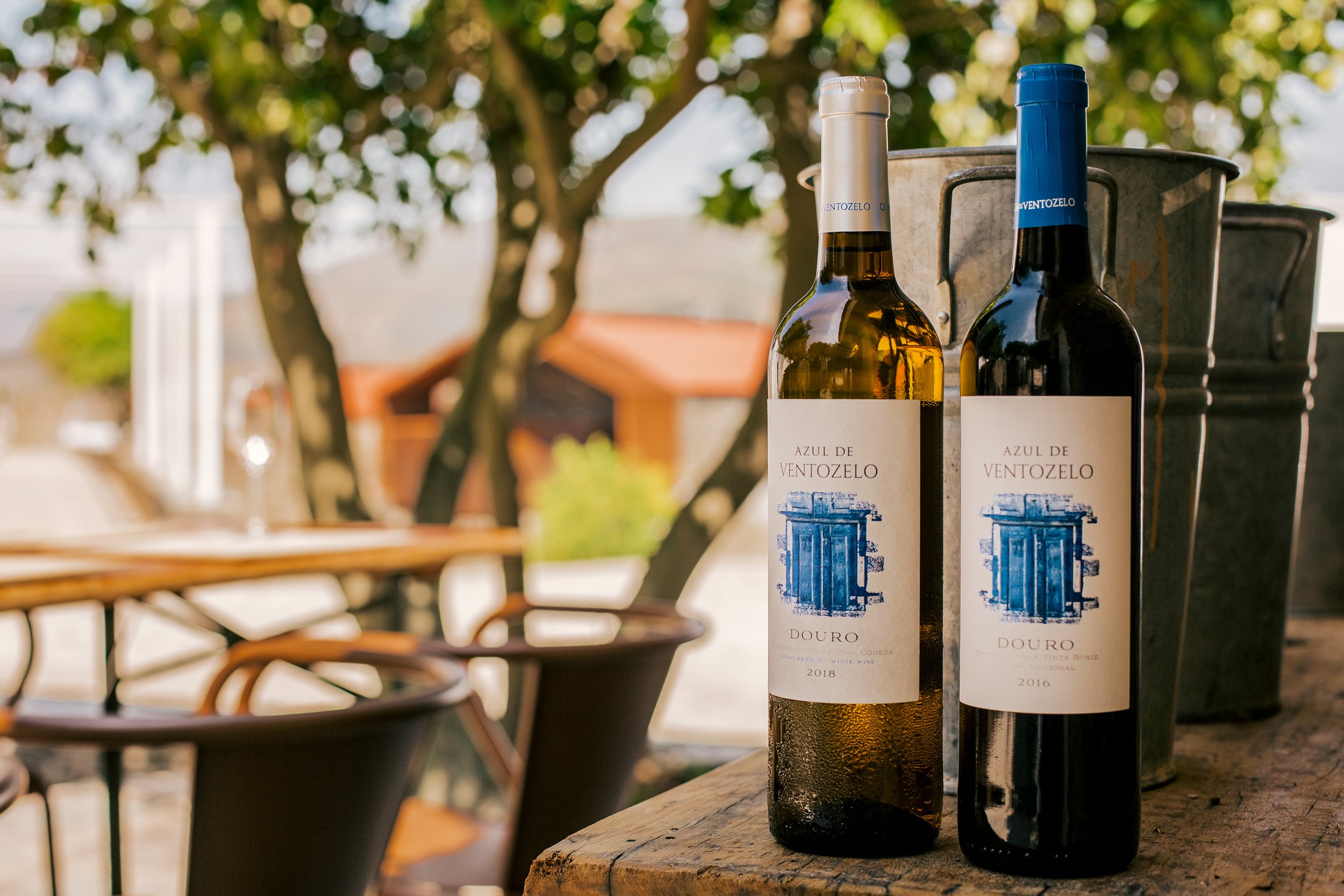 The Best Family-Friendly Wine Tours In The Douro Valley