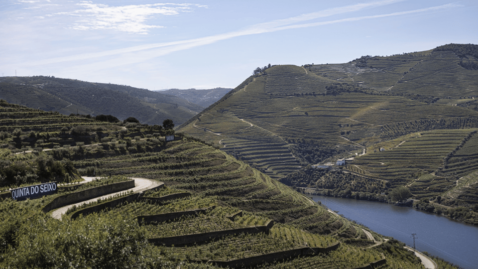 10 Top-Rated Wineries in Douro Portugal