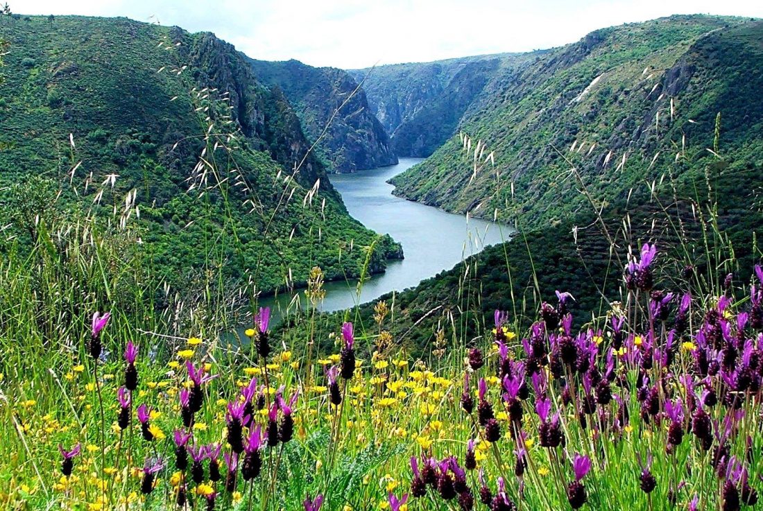 Discover in Safety the Luxury of Portugal this year