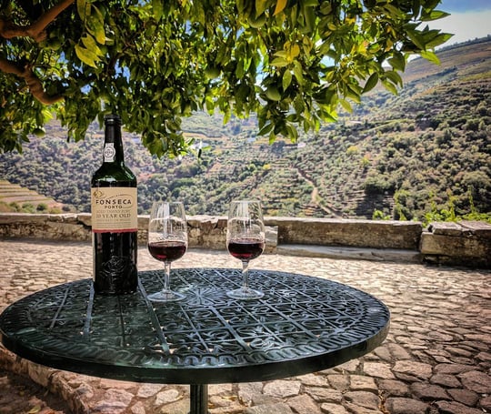 10 Wineries You Can't Miss in Douro