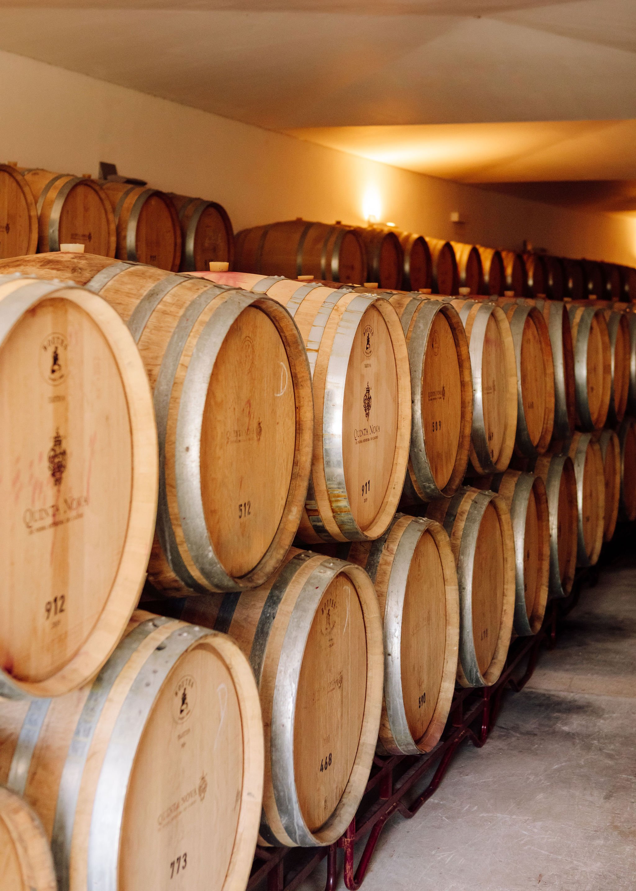 10 Wineries You Can't Miss in Douro