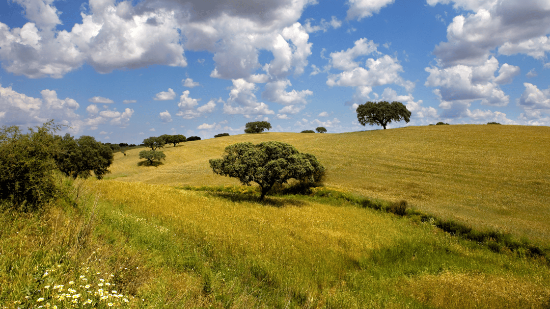 Alentejo Region: Why you should Visit