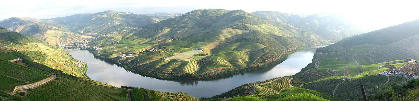 Top 5 Things To Do in Douro | Wine Tourism in Portugal