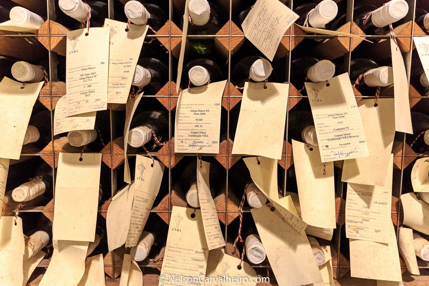 Alentejo Wine Travel Guide | Wine Tourism in Portugal
