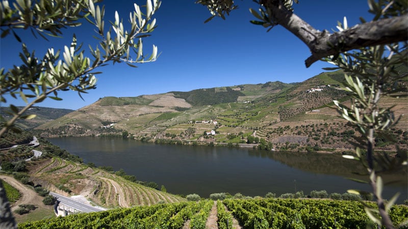 Best time to visit Douro - Unique Douro Tours & Experiences