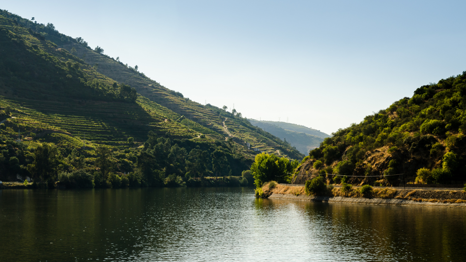 Douro Valley Wine Travel Guide: 5 Hotels & 5 Restaurants
