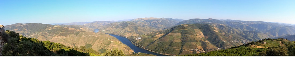 Best Lookouts in the Douro Valley | Wine Tourism in Portugal