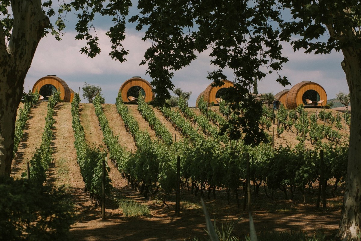 Douro Retreat: Unwind in a Wine Barrel at Quinta da Pacheca