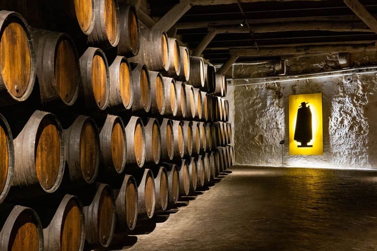 Sandeman Port Wine: Exploring the Rich History of Quinta do Seixo