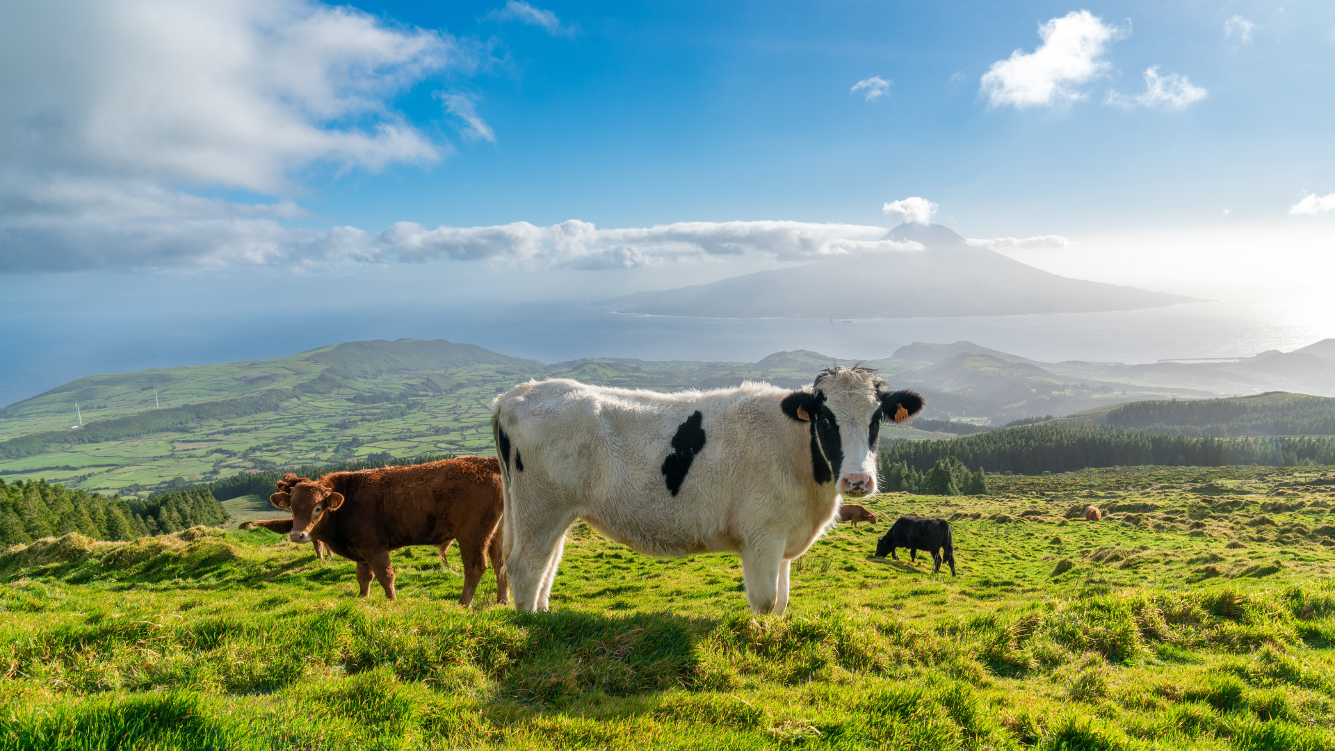The Ultimate Azorean Travel Guide: Exploring All Nine Islands