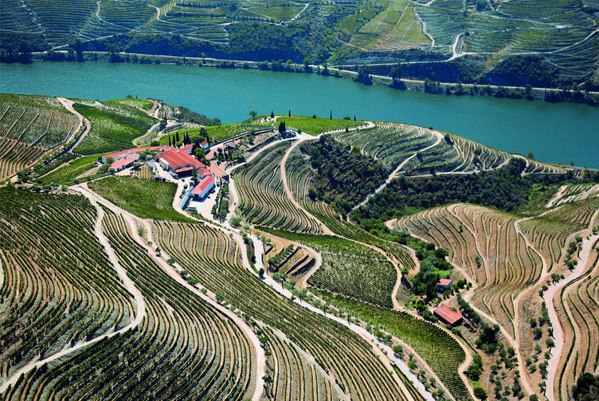 10 Wineries You Can't Miss in Douro