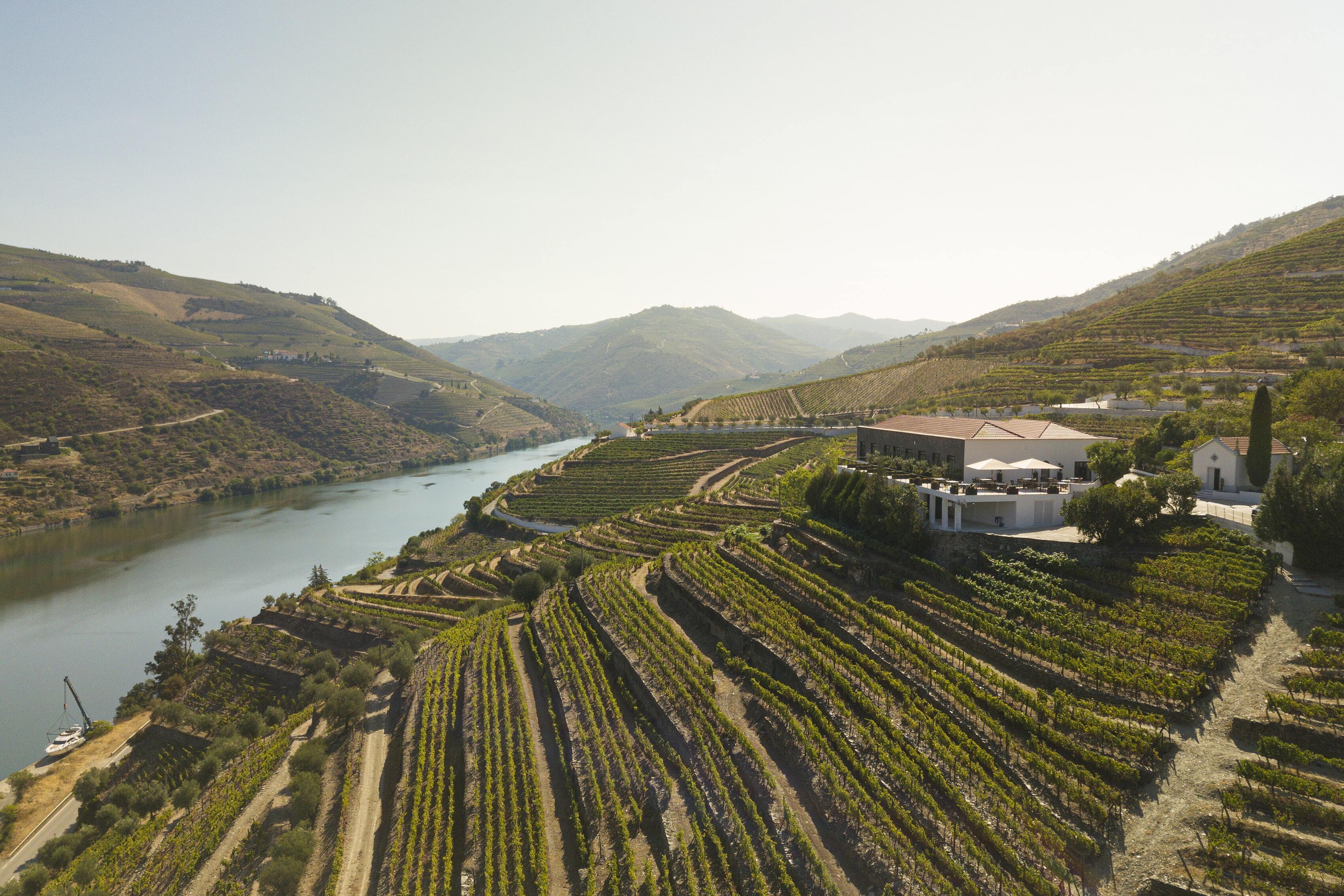 10 Most Scenic Wineries in Portugal to Visit in 2025 for Unforgettable ...