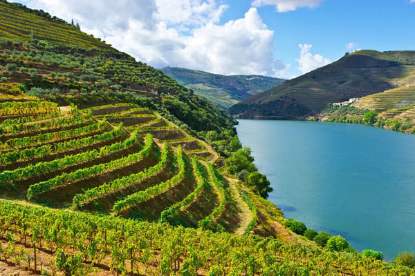 Awesome and Unique Things to Do in the Douro Valley