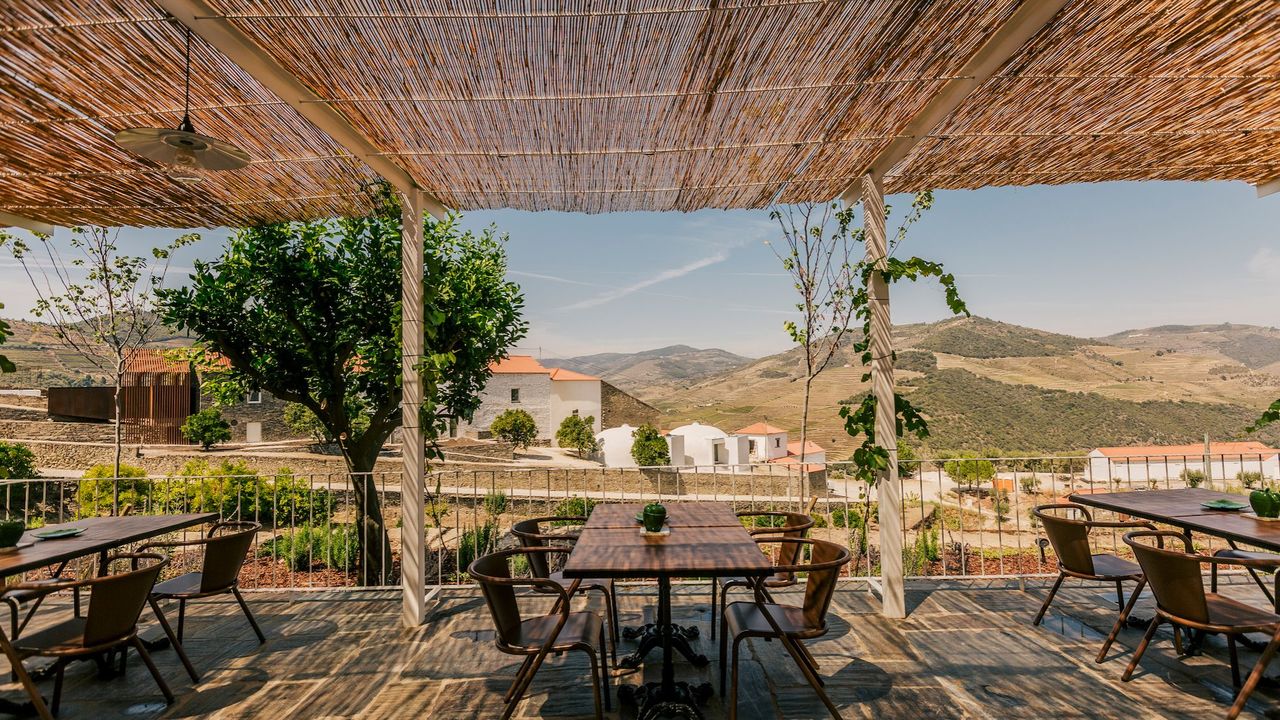 Explore the Douro Valley at its Best in Quinta De Ventozelo