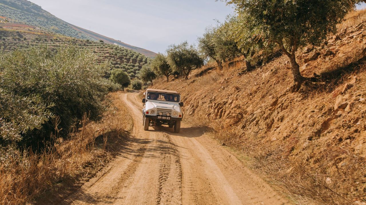 Explore the Douro Valley at its Best in Quinta De Ventozelo