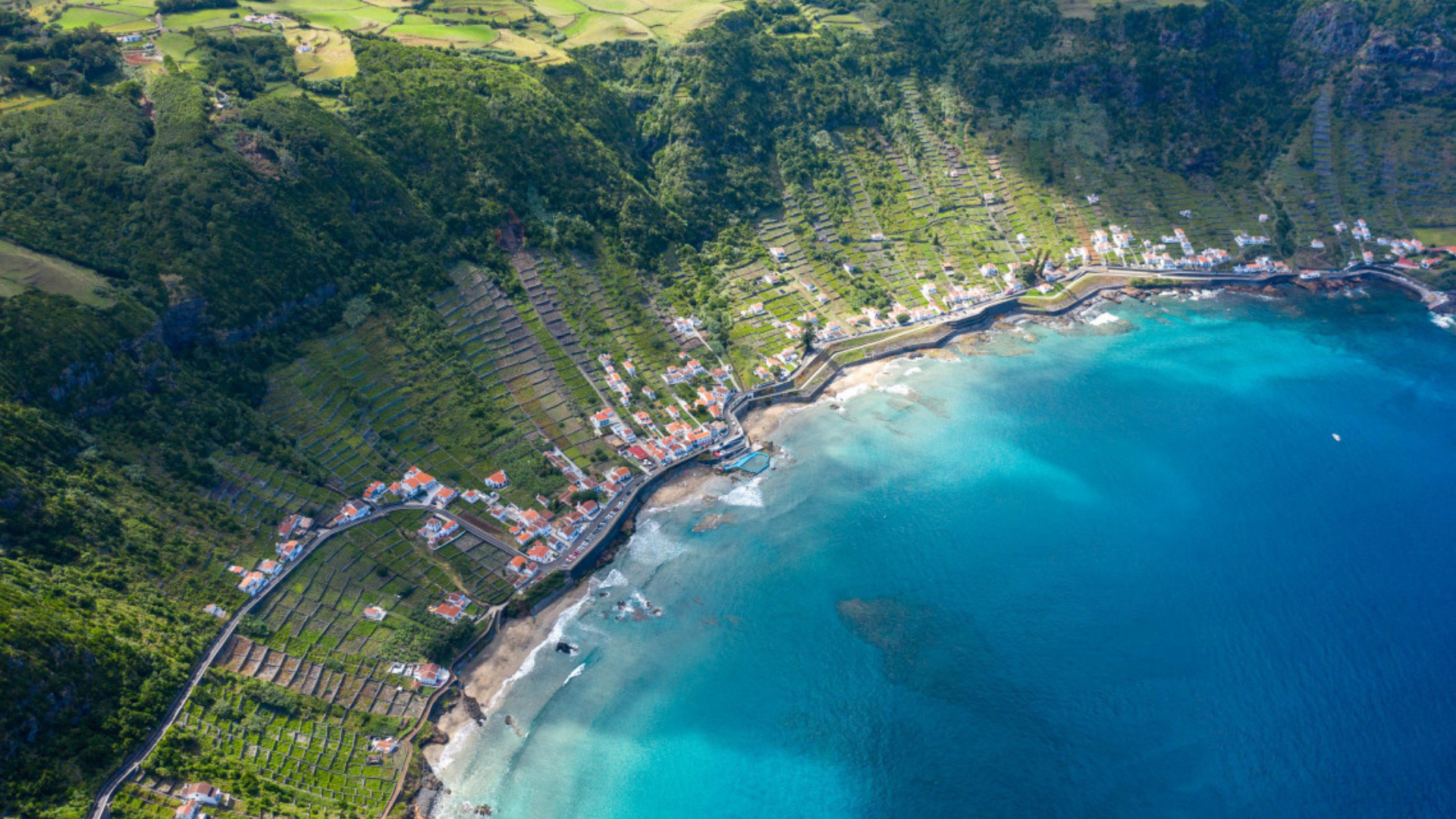 Discovering Azorean Wines: The Rare Grape Varieties You Need to Try