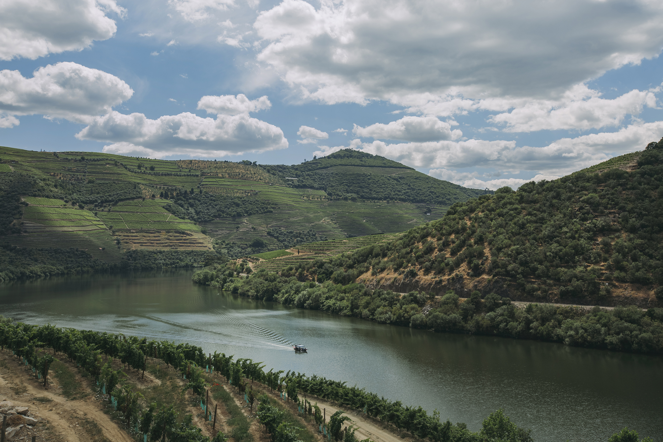 Portugal Wine Cruises: Hidden Treasures from Porto to Douro