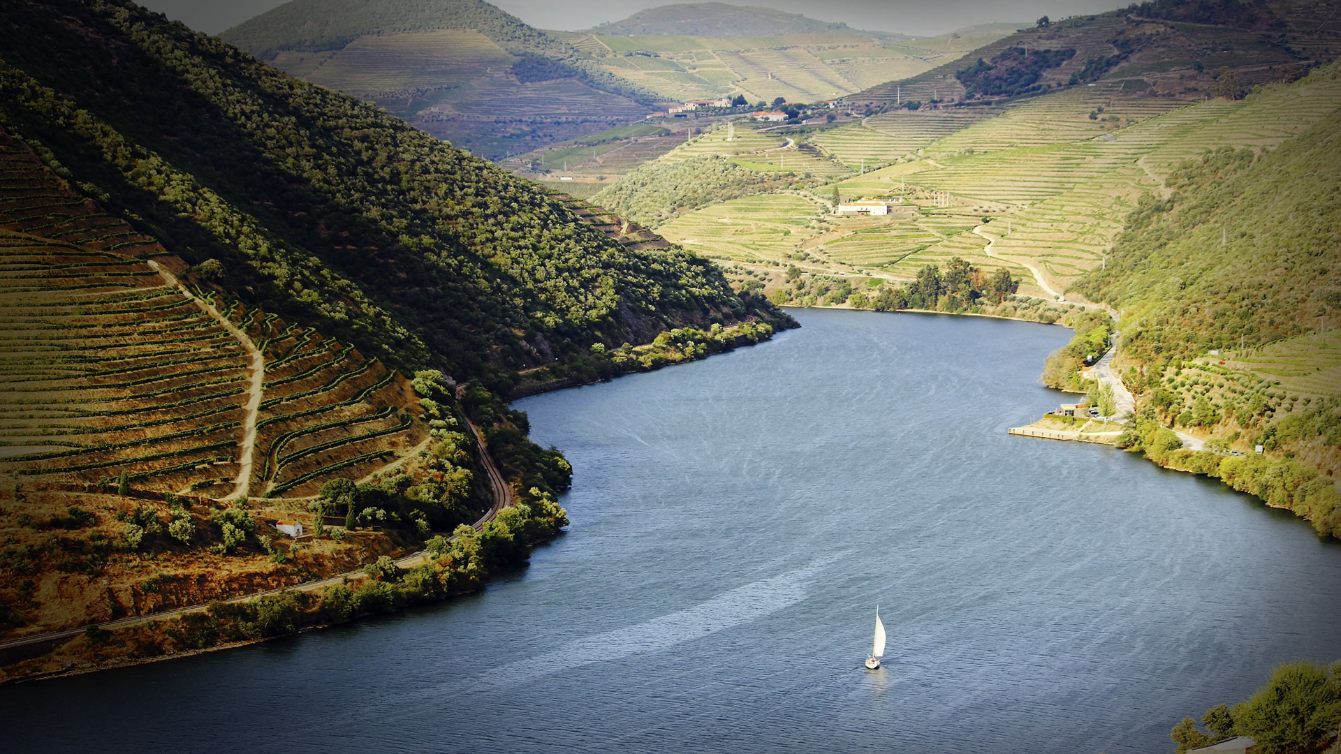 10 Wineries You Can't Miss in Douro